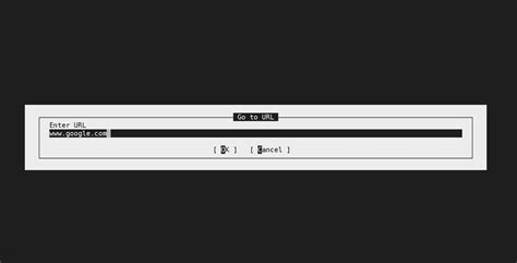 how to install and use elinks on ubuntu 20 04 real time cloud