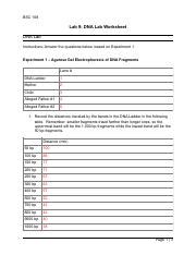 Lab DNA Worksheet Pdf Lab DNA Lab Worksheet DNA Lab Instructions