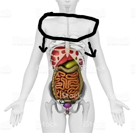 어느 병원으로 가봐야 하는걸까요 ㅣ 궁금할 땐 아하