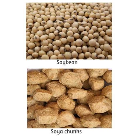 What Is Difference Between Soy And Soya 2025 QAQooking Wiki