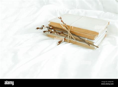 Spring Is Coming Reading Concept With Vintage Books On White Background With Pussy Willow Twig