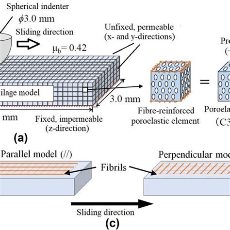 Friction Analysis For Three‐dimensional Fibre‐reinforced Poroelastic Download Scientific