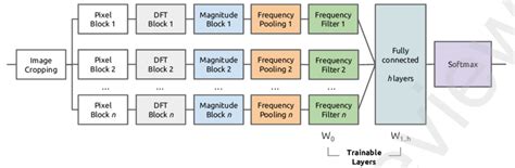 Basic Frequency Layer Architecture For Image Classification Download Scientific Diagram