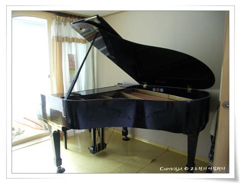 피아노가 생겼습니다