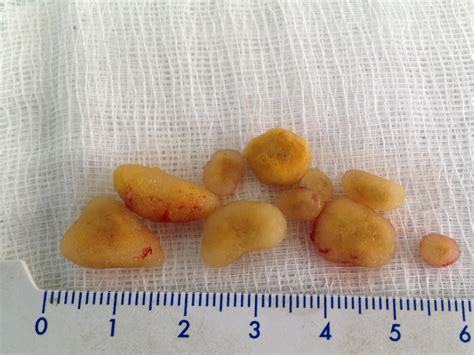 Αλέξανδρος Βανταράκης Κτηνίατρος 2013