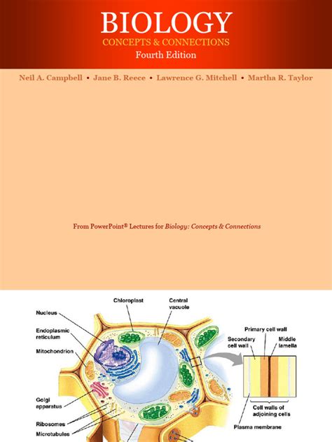 Cell Modifications In Plants And Animals Pdf Epithelium Tissue