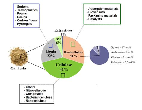 Oat Husk Composition And Perspective Ways Of Its Main Component Download Scientific Diagram
