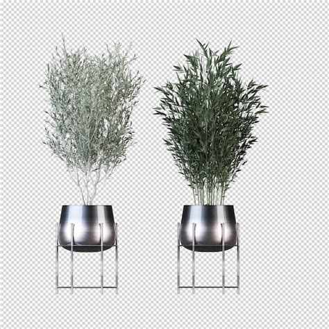 Premium Psd 3d Rendering Nature Object Tree Isolated