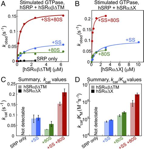 The Ribosome And Signal Sequence Activates The Srp Sr Gtpase Cycle A