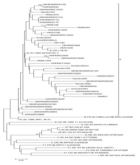 All The Viruses Were HIV Subtype B Variants Thai B A Subset Of Download Scientific Diagram