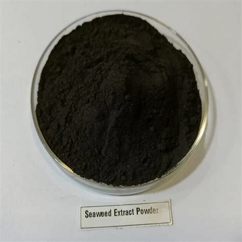 Granules Seaweed Extract Powder Tech Ascophyllum Nodosum Bag 25 Kg At Best Price In Nashik