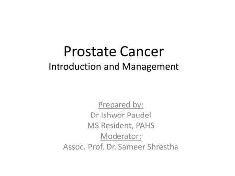 Prostate Cancer Presentation 2024 Cancer Support Nowpptx