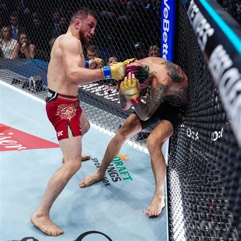 მერაბ დვალიშვილი Vs შონ ო მალი