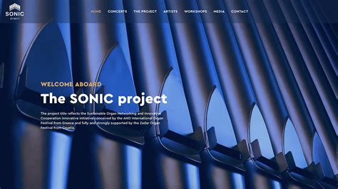 Sonic Sustainable Organ Networking And Innovative Cooperation
