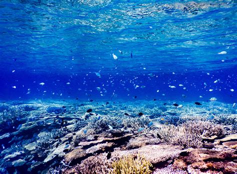 沖縄美ら海写真撮影の旅へOkinawa Photo Tripインスタグラマーyama ok さん