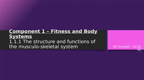 Edexcel Gcse Pe Musculo Skeletal System Teaching Resources