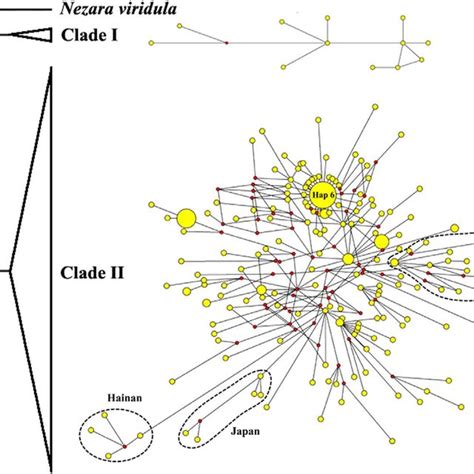 Mitochondrial Dna Tree And The Nested Clade Networks Using Combined Coi