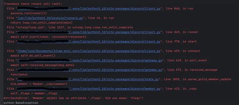 Bugmember Flags Attribute Missing · Issue 9609 · Rapptzdiscordpy