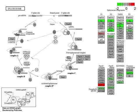 Functional Analysis For Rna Seq Training Modules