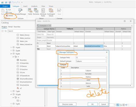 Arcgis Pro 25 How To Delete Multiple Subtypes Esri Community