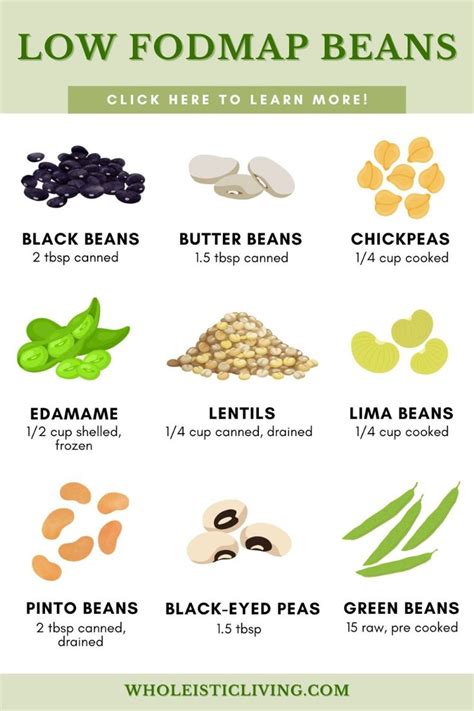 low fodmap beans types and serving sizes jenna volpe rdn ld clt