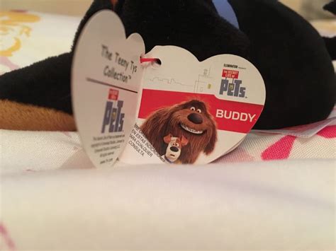 Pin By Oxislaox On Ty Teddy Collection Teddy Collections Teddy Buddy