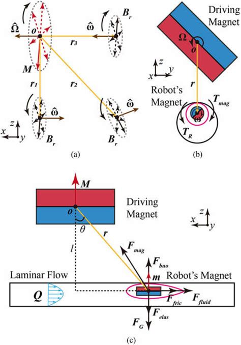 theoretical model of the on wall rotating locomotion a schematic of