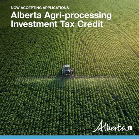 Lori Jo Graham Posted On Linkedin