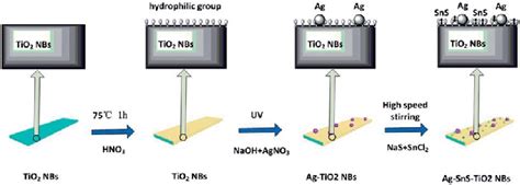 Assembly Procedure For Preparation Of Ag Sns Tio 2 Nbs Download