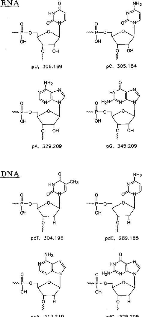 Figure 1 From Determination Of Oligonucleotide Composition From Mass