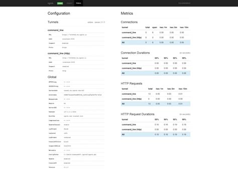 Secure Tunnels To 127001 With Ngrok Timdows