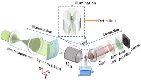 Schematic Diagram Of The Proposed Limited View Light Sheet Microscopy Download Scientific Diagram