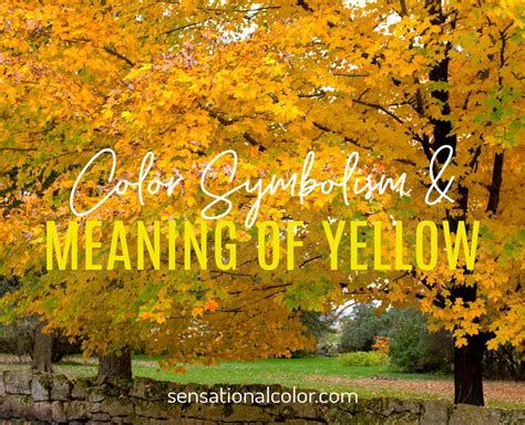 Meaning Of Orange Color Psychology And Symbolism