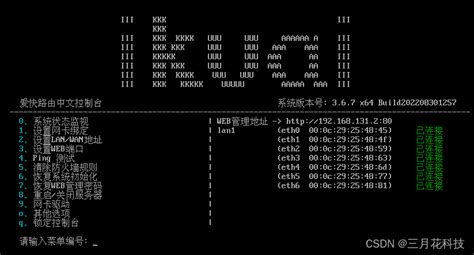 爱快软路由在vmware上安装过程分享，基于多网卡的本机 带多机上网，考研计算机网络实战 vmware 爱快 csdn博客