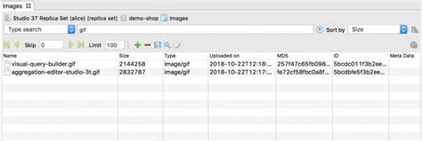 Mongodb And Gridfs Studio T