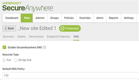 enabling dns protection