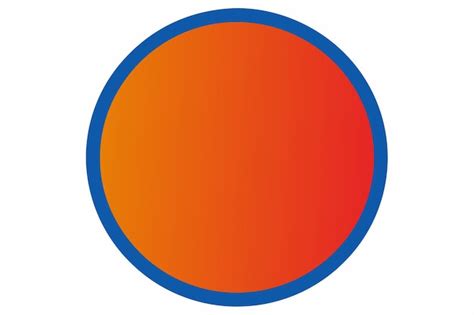Círculo Naranja Con Contorno Azul Sobre Un Fondo Blanco Vector