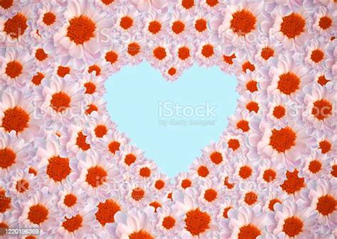 꽃 배경으로 만든 마음입니다 컬러 배경에 컬러 싹의 축제 프레임 웨딩 장식 최소한의 창조적 인 예술을 사랑해요 개념에 대한 스톡 사진 및 기타 이미지 Istock