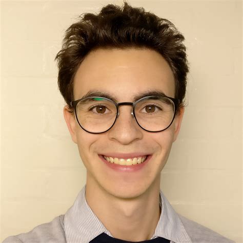 Raphaël Vigée Medium