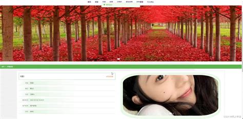 Springboot的bbs论坛管理系统设计与实现vue Csdn博客