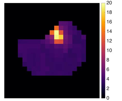 Physiology Based Compartmental Models Download Scientific Diagram
