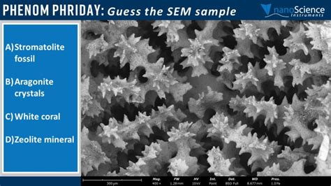 Nanoscience Instruments On Linkedin Electronmicroscopy Phenomdesktopsem Challenge