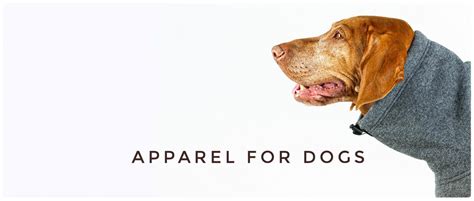 Pretty Pointer Pretty Pointer Added A New Photo