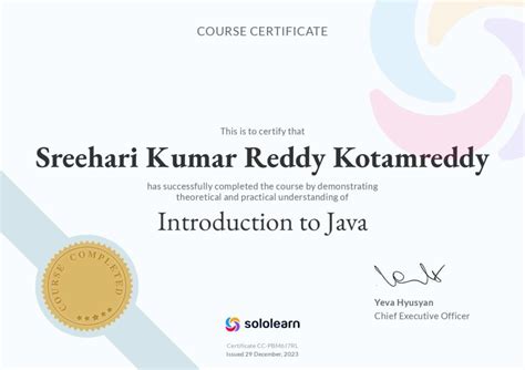 javadeveloper programmingjourney sololearncertificate javaskills