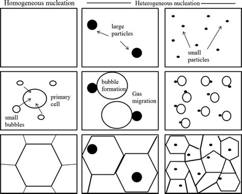 Homogeneous And Heterogeneous Cell Nucleation In A Polymeric Foam Download Scientific Diagram
