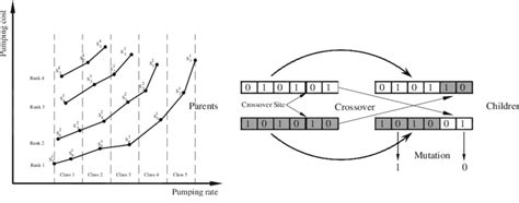 Pareto Optimality Ranking And Shared Classes Of Population Individuals Download Scientific