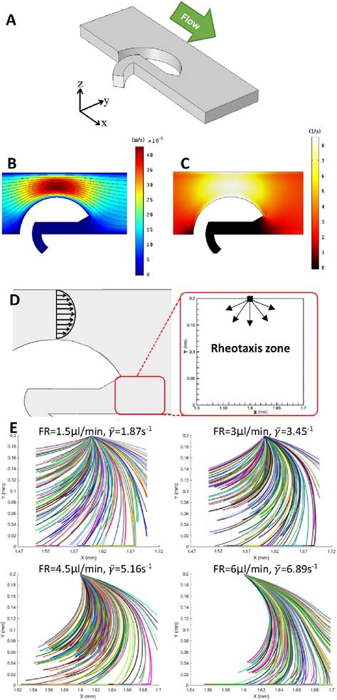 simulation results of the velocity field shear rate in the vicinity of