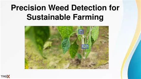 ppt crop weed detection services tagx powerpoint presentation free