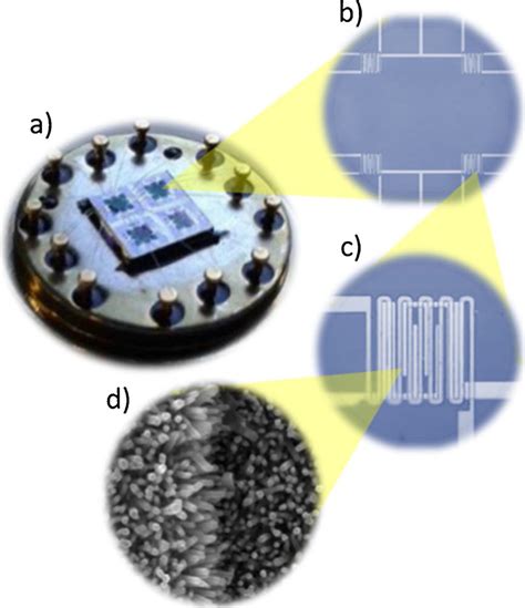 A Photograph Of The Sensor Device With Four Micromachined Membranes Download Scientific