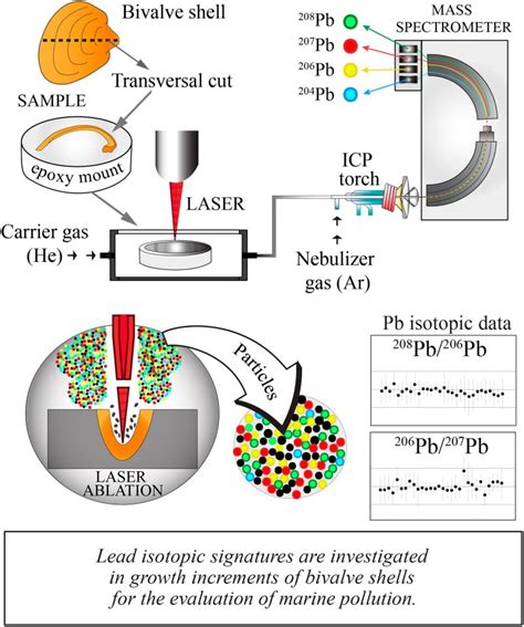 Lead Like Other Trace Elements Is Incorporated In The Growing Bands
